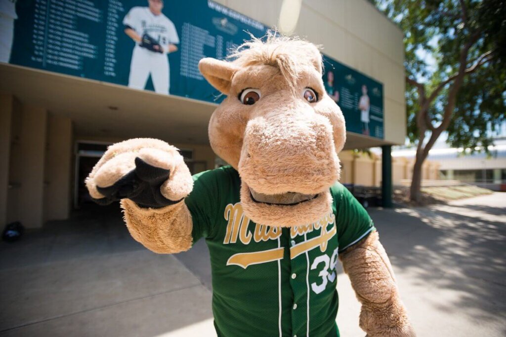 Top Things to Do for Cal Poly Parents & Supporters | Visit SLO