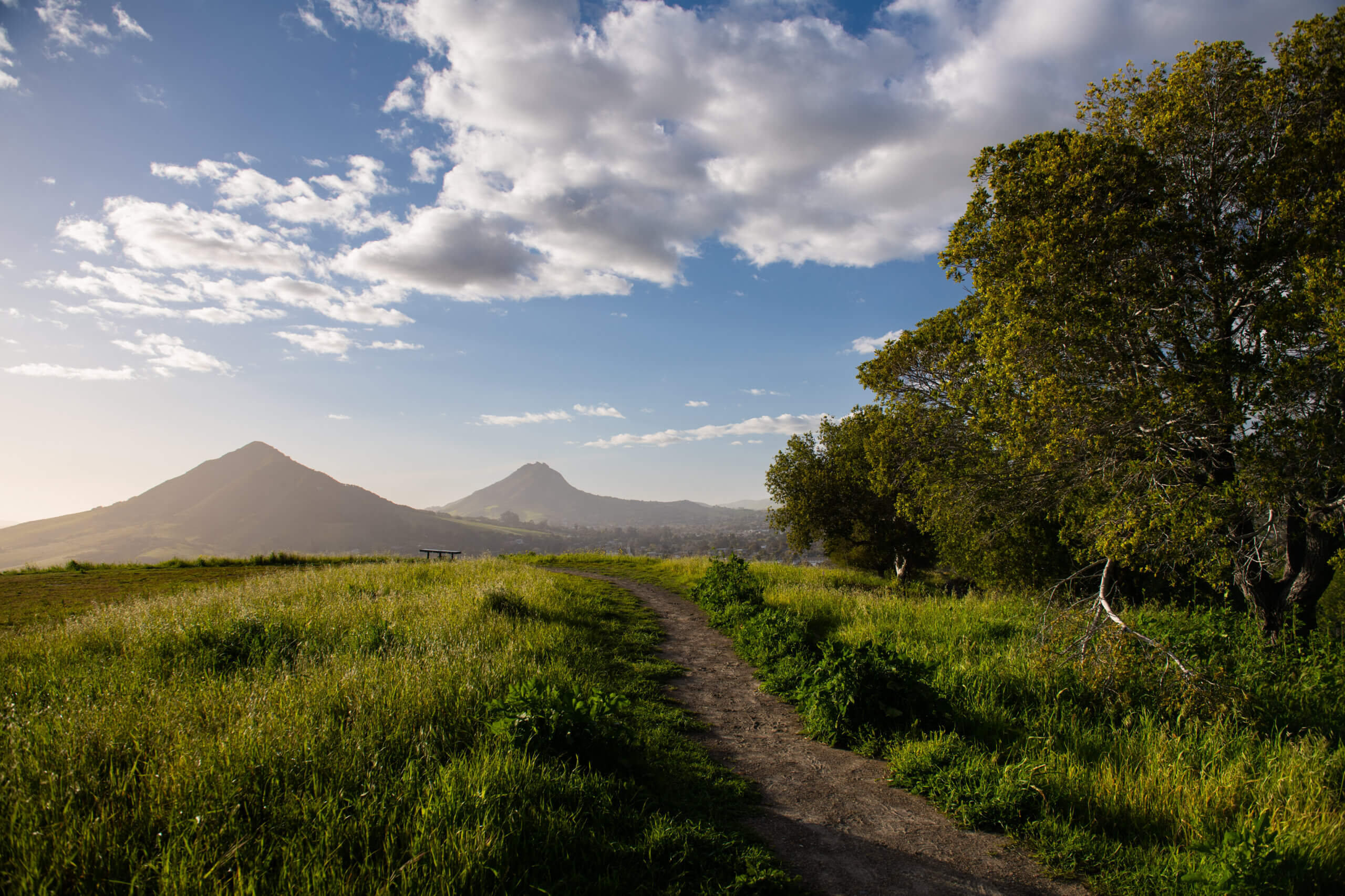 Terrace Hill Open Space - San Luis Obispo