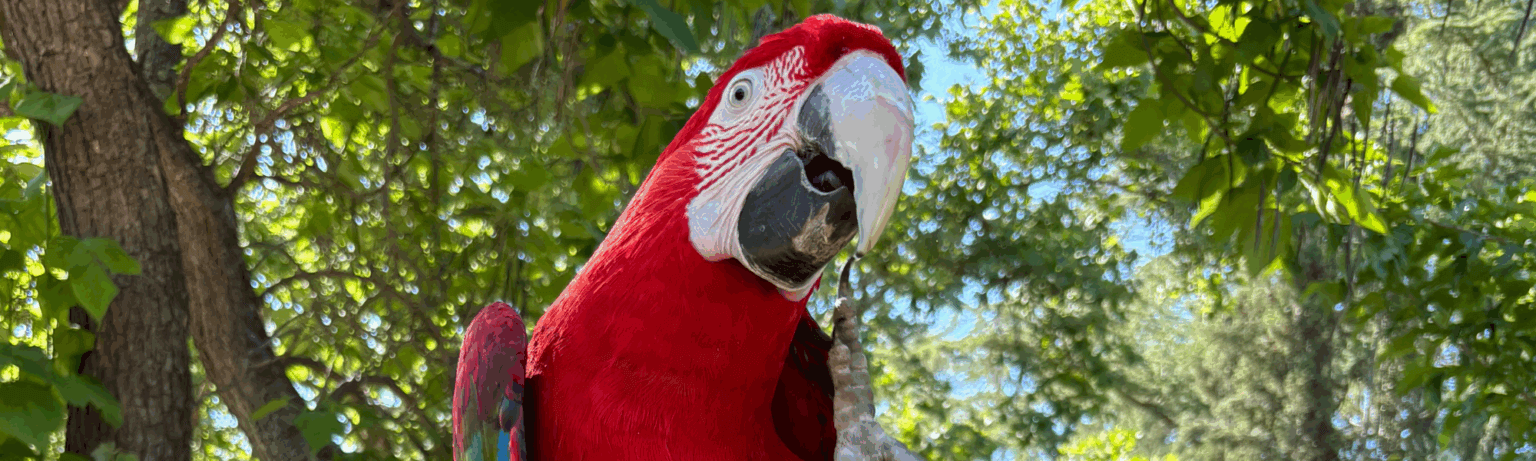 Charles Paddock Zoo - San Luis Obispo