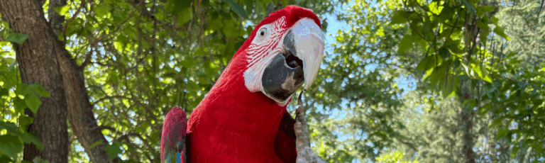 Charles Paddock Zoo - San Luis Obispo