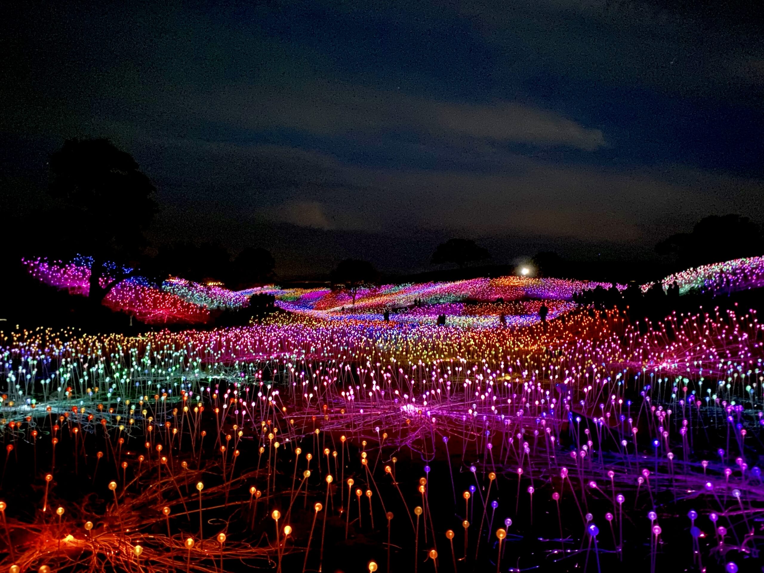 Sensorio - Visit San Luis Obispo