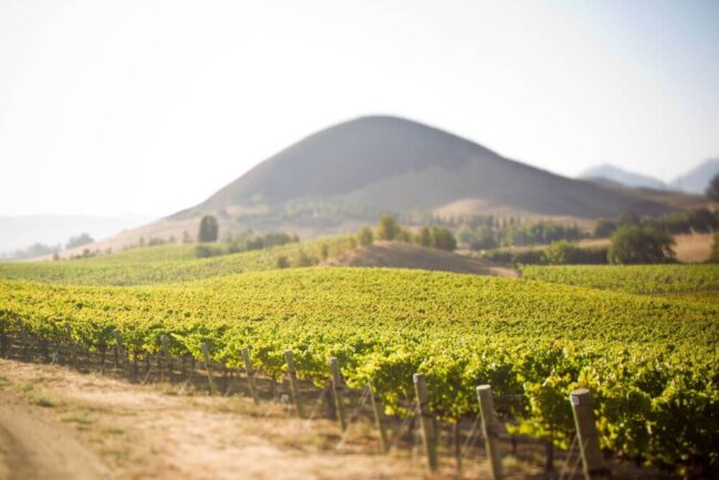 Visit San Luis Obispo | Hotels, Things to Do and More in SLO