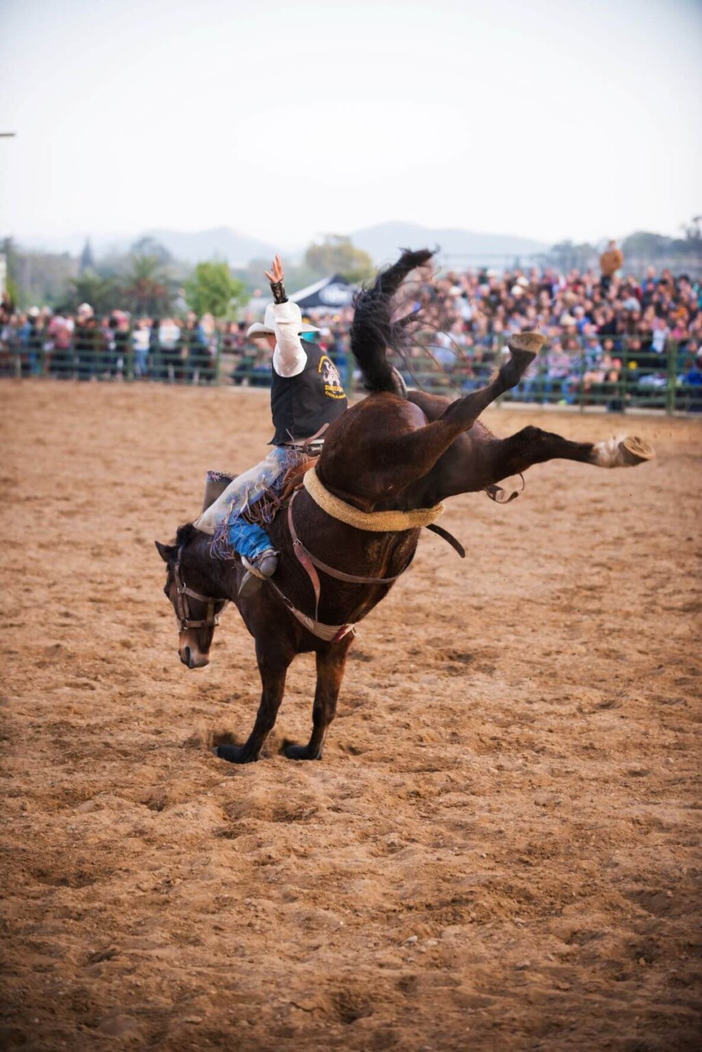 Spring Into These SLO Fun Events | Visit SLO