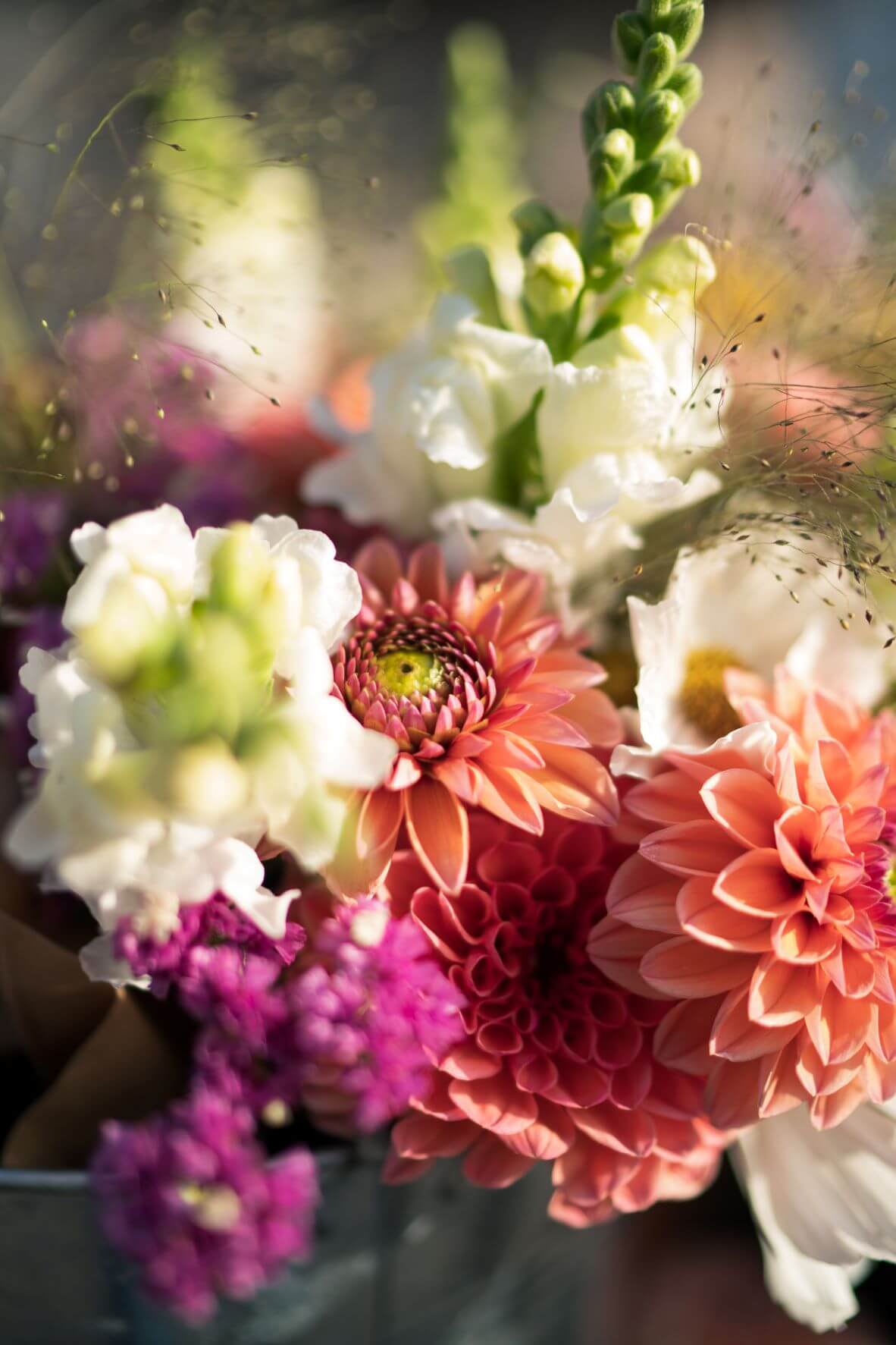 Spring Into These SLO Fun Events | Visit SLO