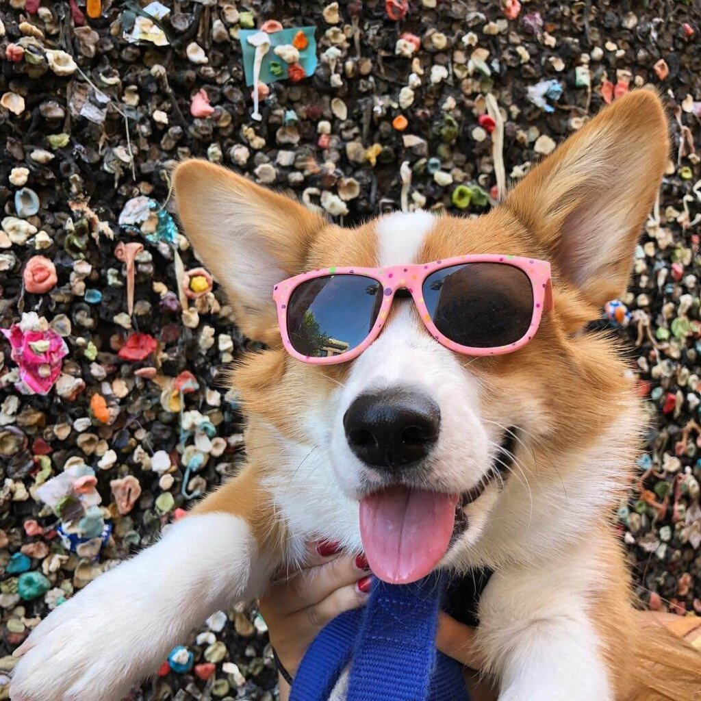 Kid-Friendly Fun in San Luis Obispo | Visit SLO